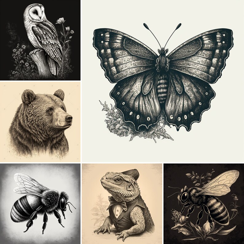 100 Vintage Animal Prints Mega Bundle Black and White Illustrations ...