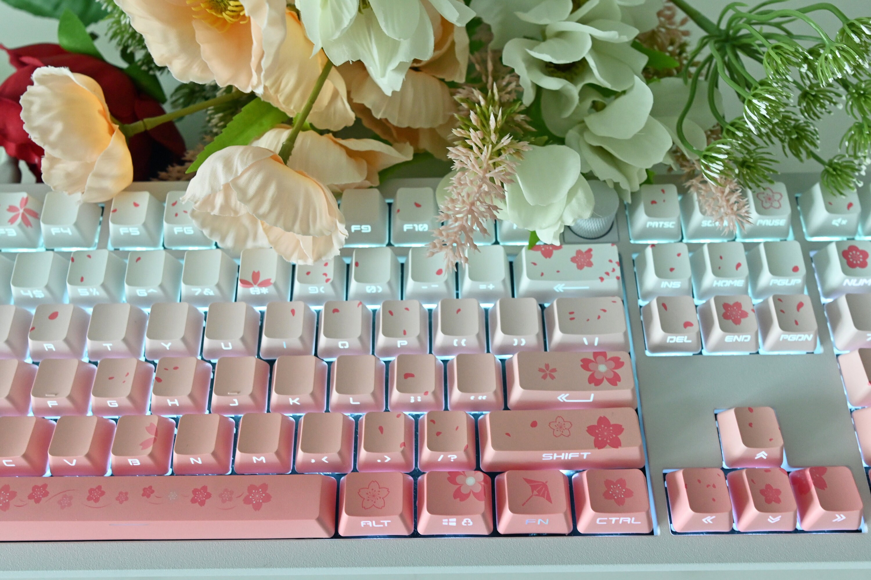 Backlit Soft Pink Cherry Blossom Keycap Set: OEM Profile, PBT - Etsy