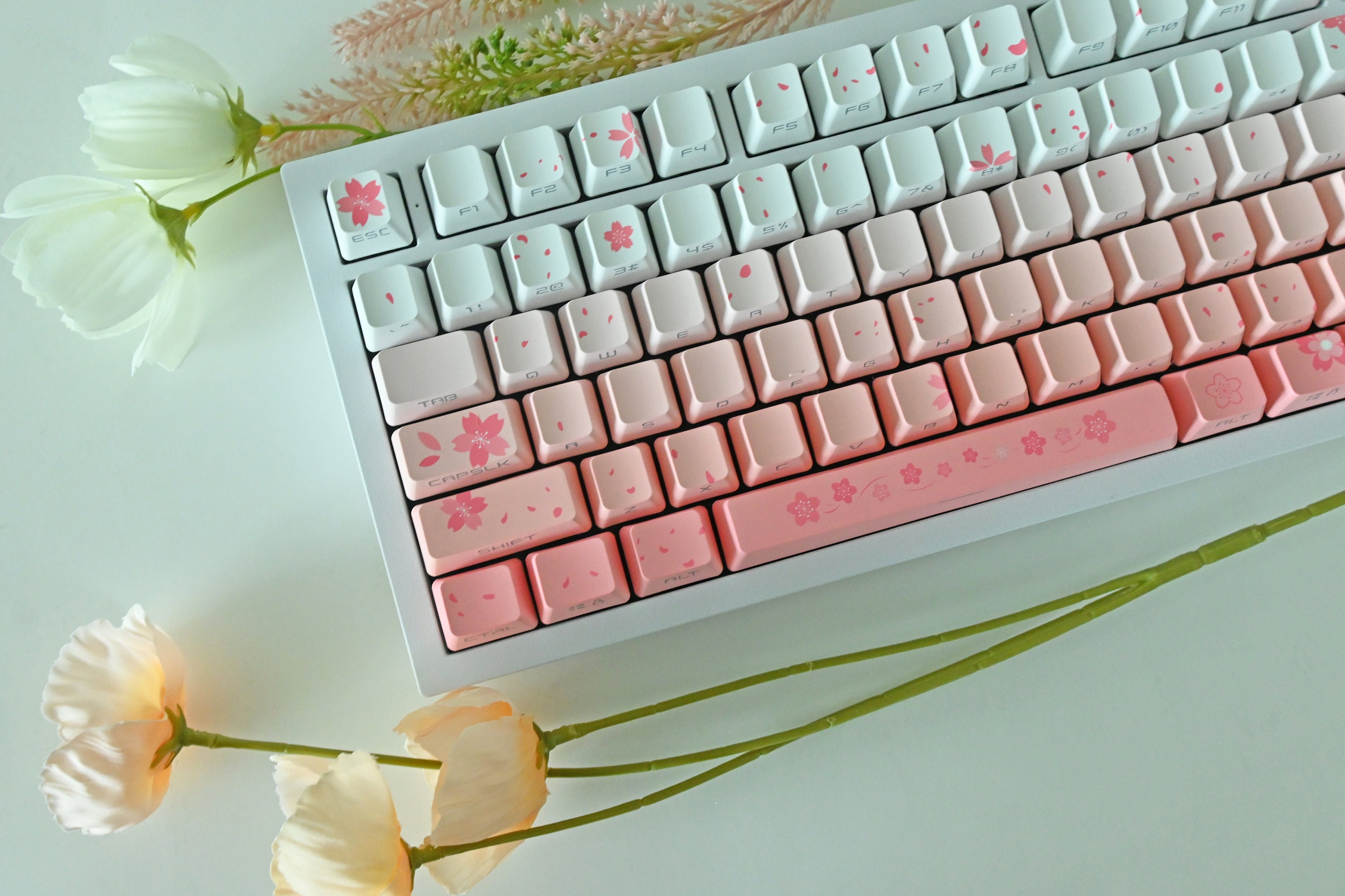 Backlit Soft Pink Cherry Blossom Keycap Set: OEM Profile, PBT - Etsy