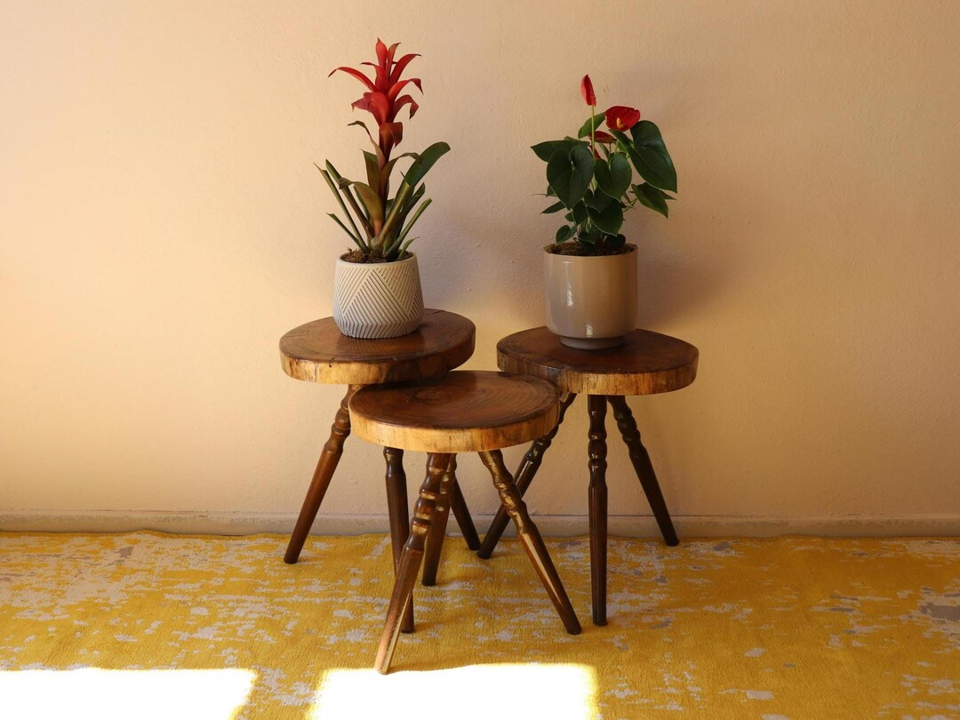 Walnut Side Table, Handmade Tree Slice Table, Living Room Furniture ...