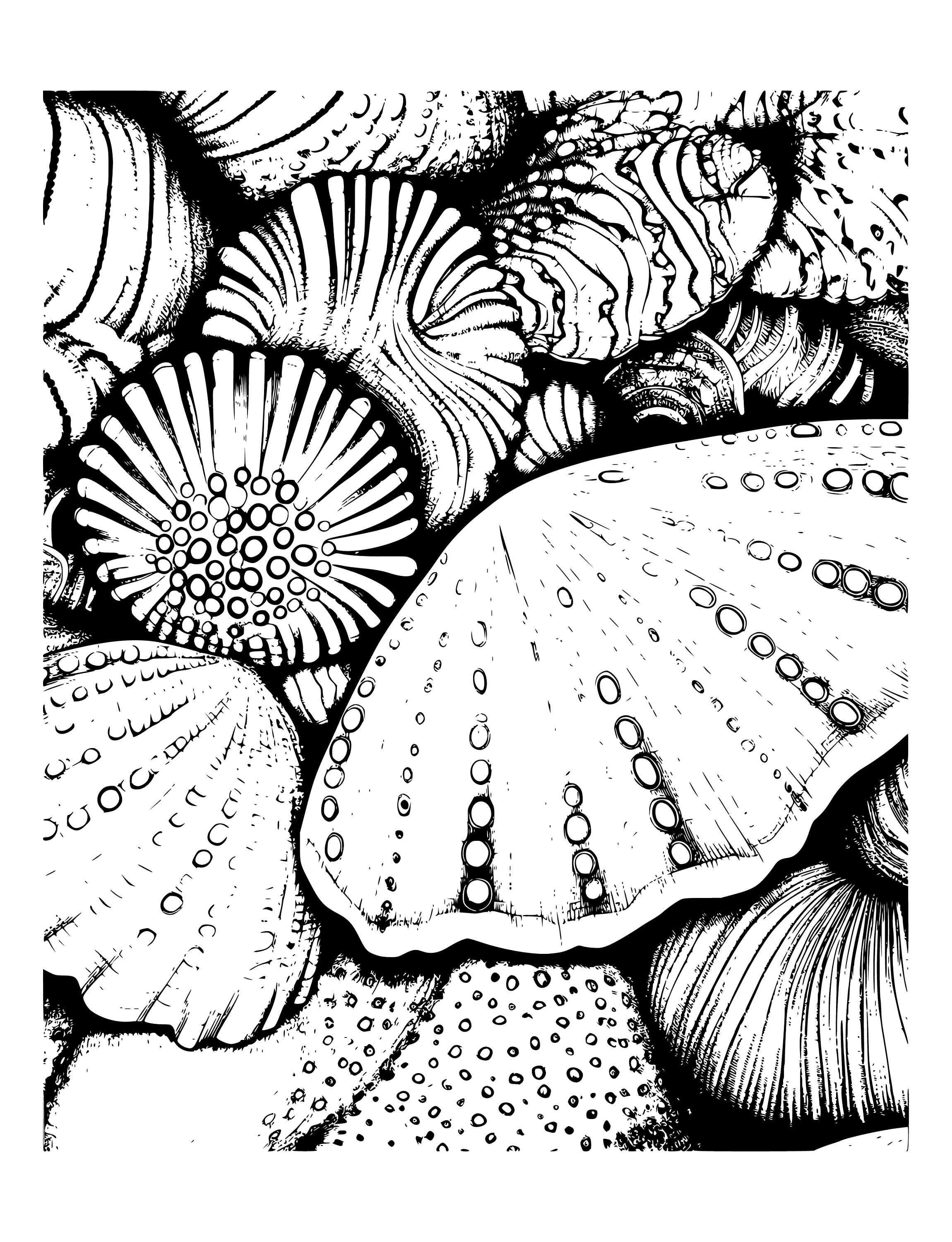 My Beach Vacation Coloring Book - Etsy