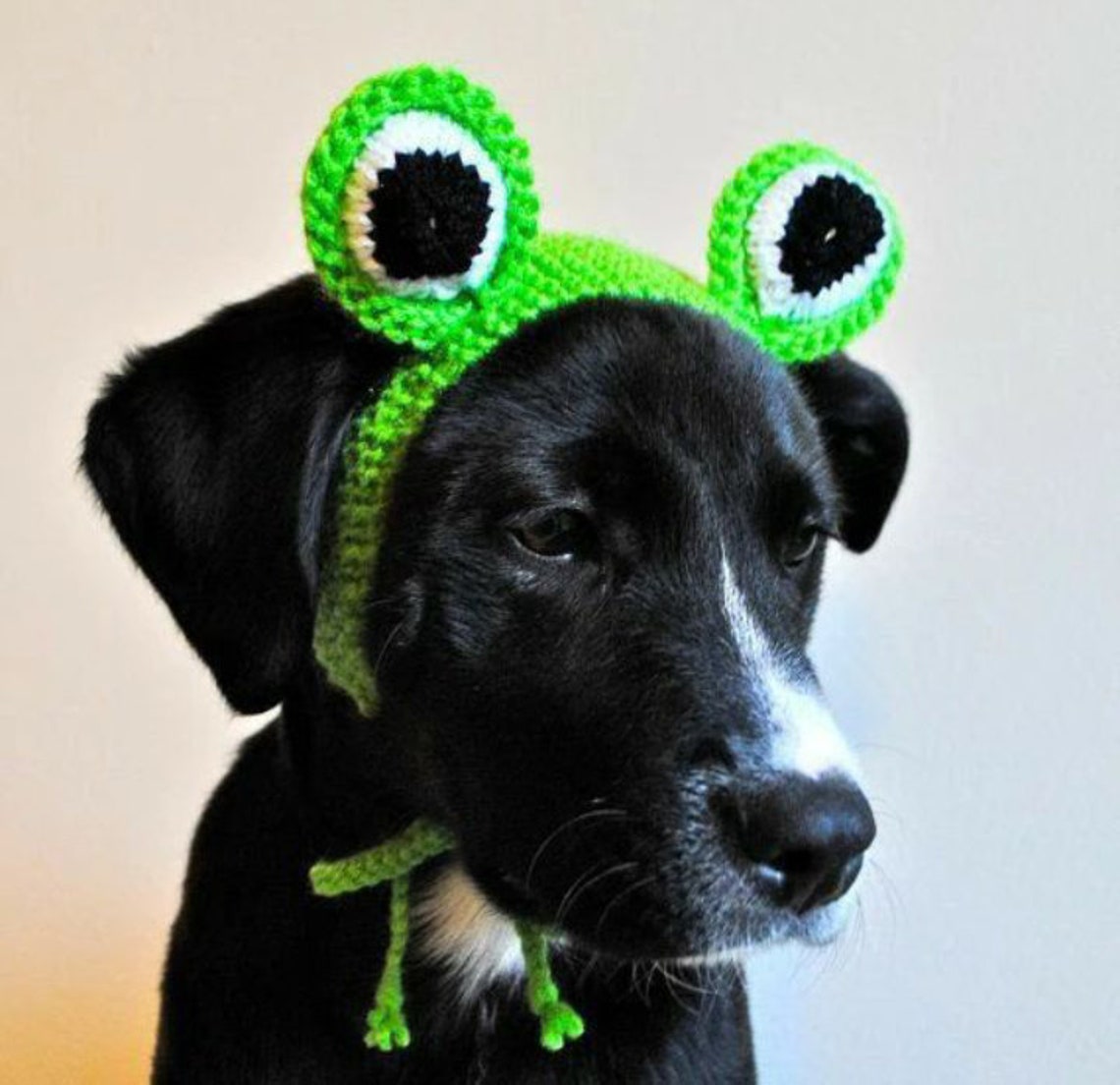 CAT DOG HAT - Etsy
