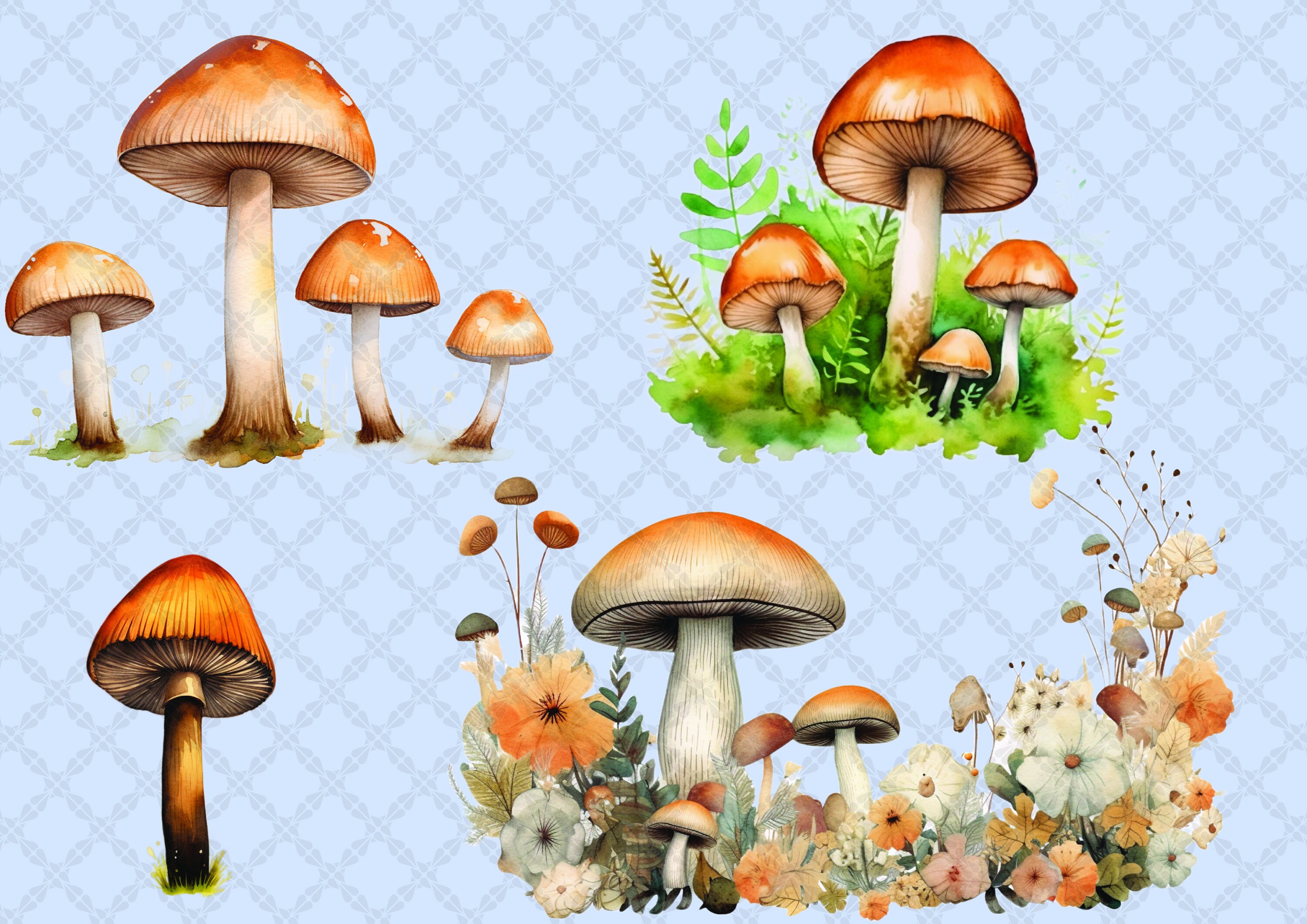 Watercolor Mushrooms Clipart PNG Magical Mushroom Forest - Etsy