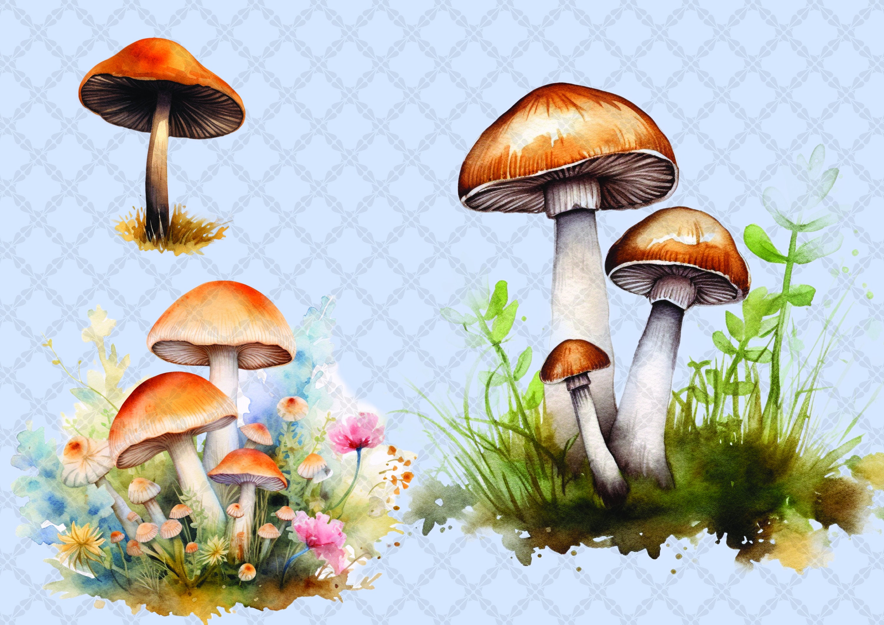 Watercolor Mushrooms Clipart PNG Magical Mushroom Forest - Etsy