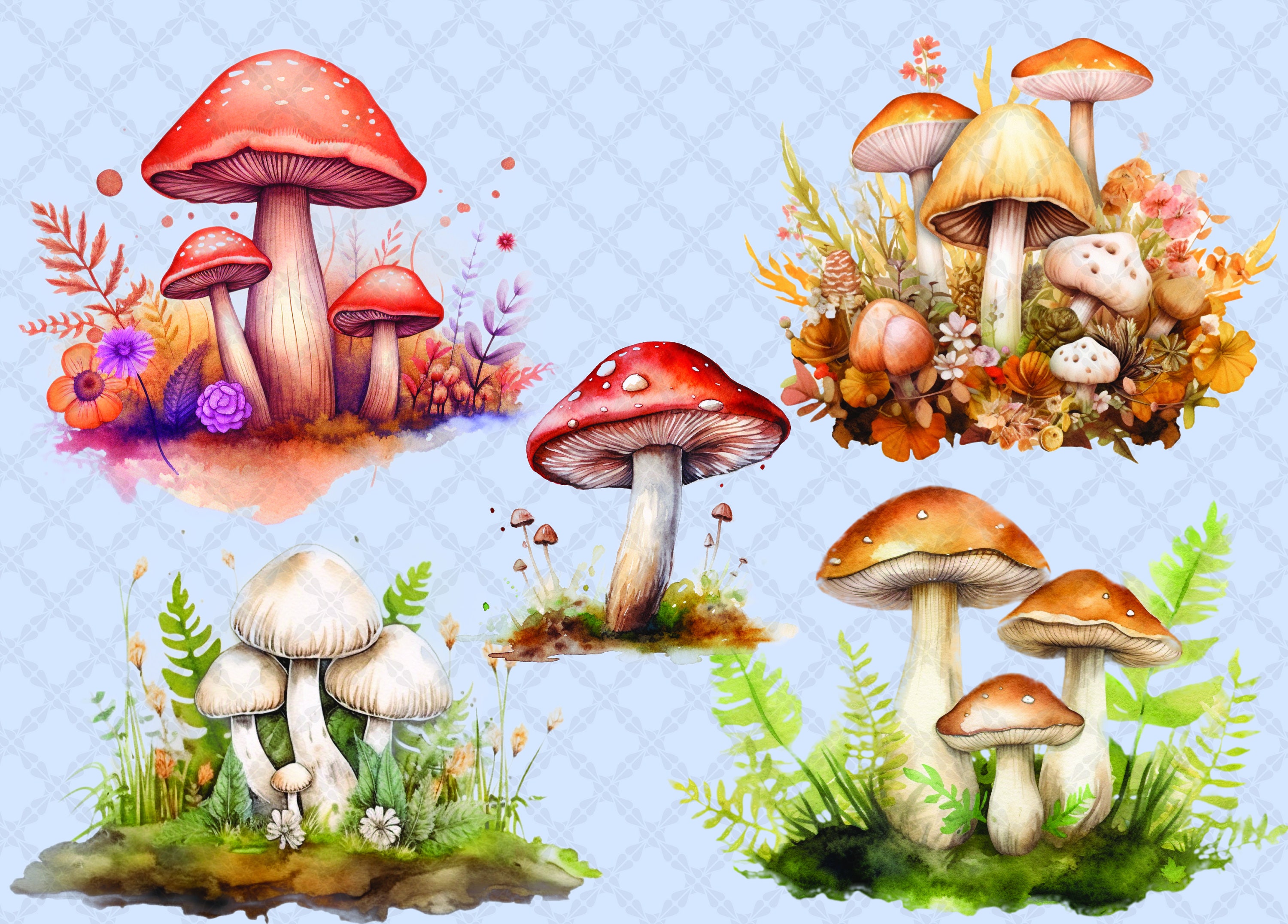 Watercolor Mushrooms Clipart PNG Magical Mushroom Forest Mushrooms ...