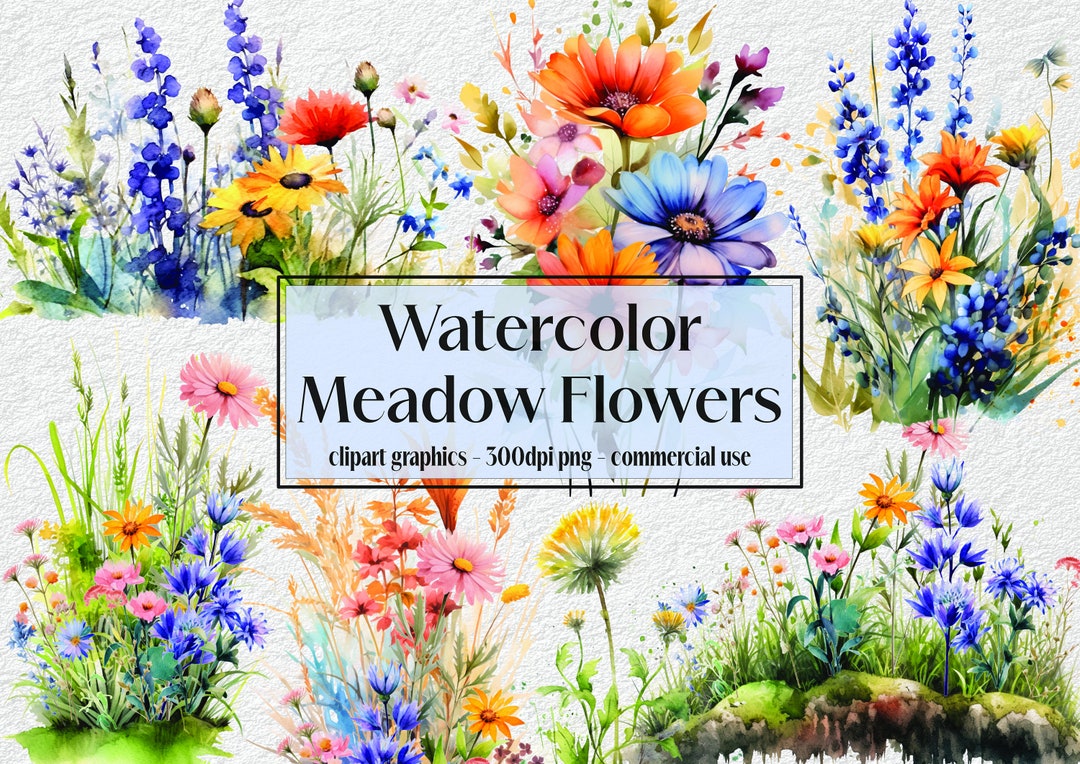 Watercolor Meadow Flowers Clipart Spring Wildflower Floral PNG Format ...