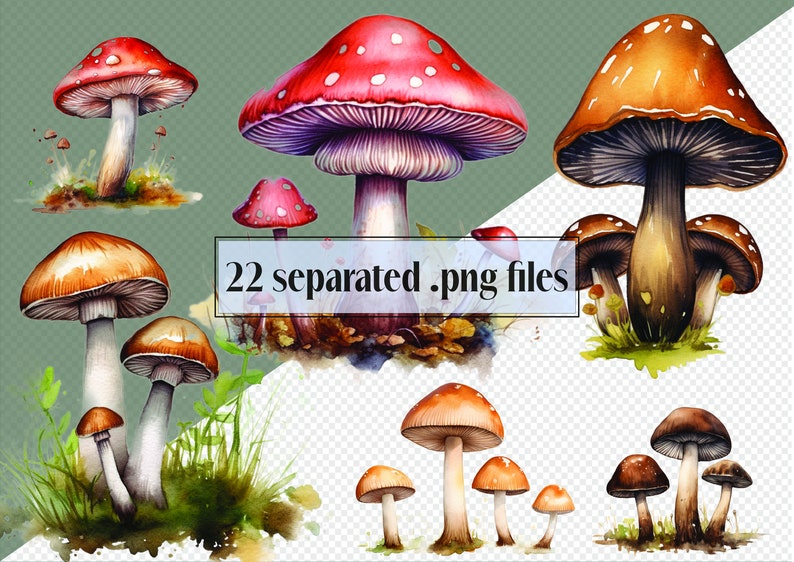 Watercolor Mushrooms Clipart PNG Magical Mushroom Forest Mushrooms ...