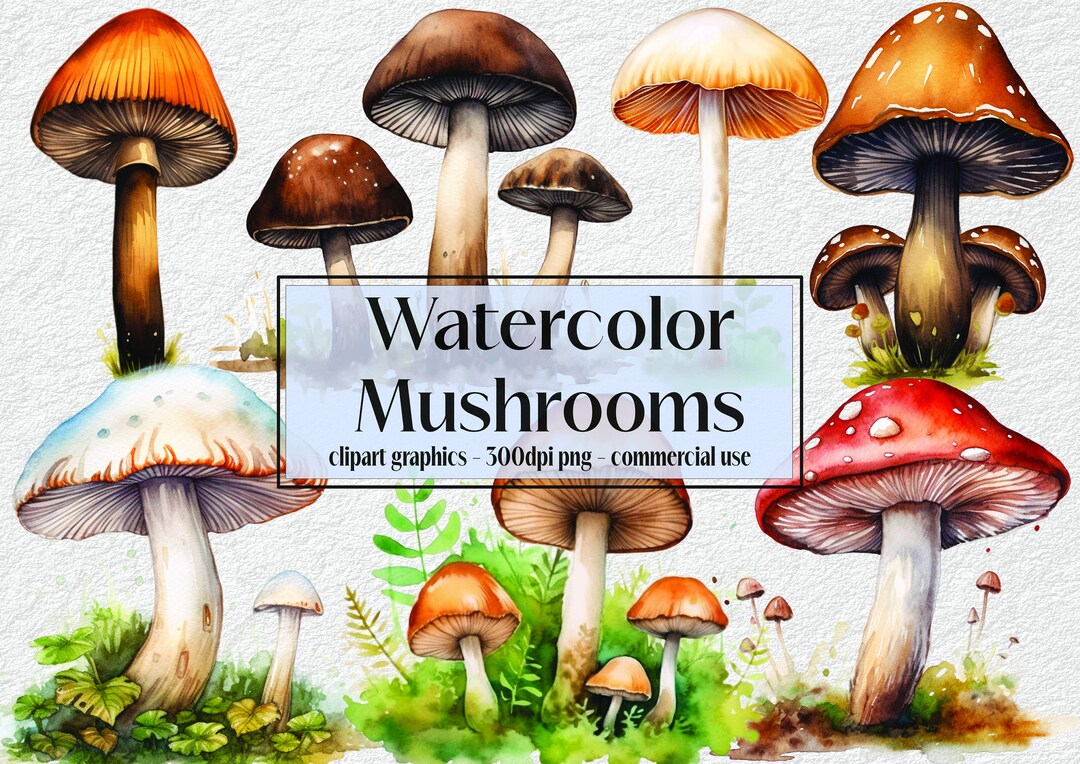 Watercolor Mushrooms Clipart PNG Magical Mushroom Forest Mushrooms ...