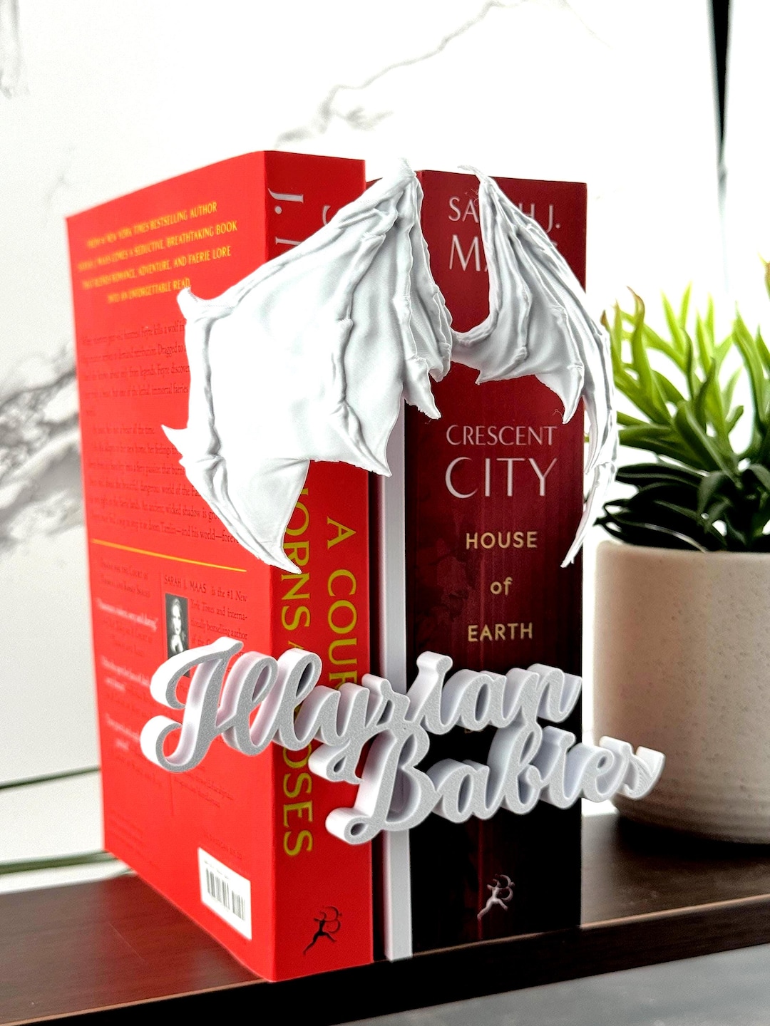 ACOTAR Bat Boy or Illyrian Babies Fantasy Library Sign/bookshelf Decor ...