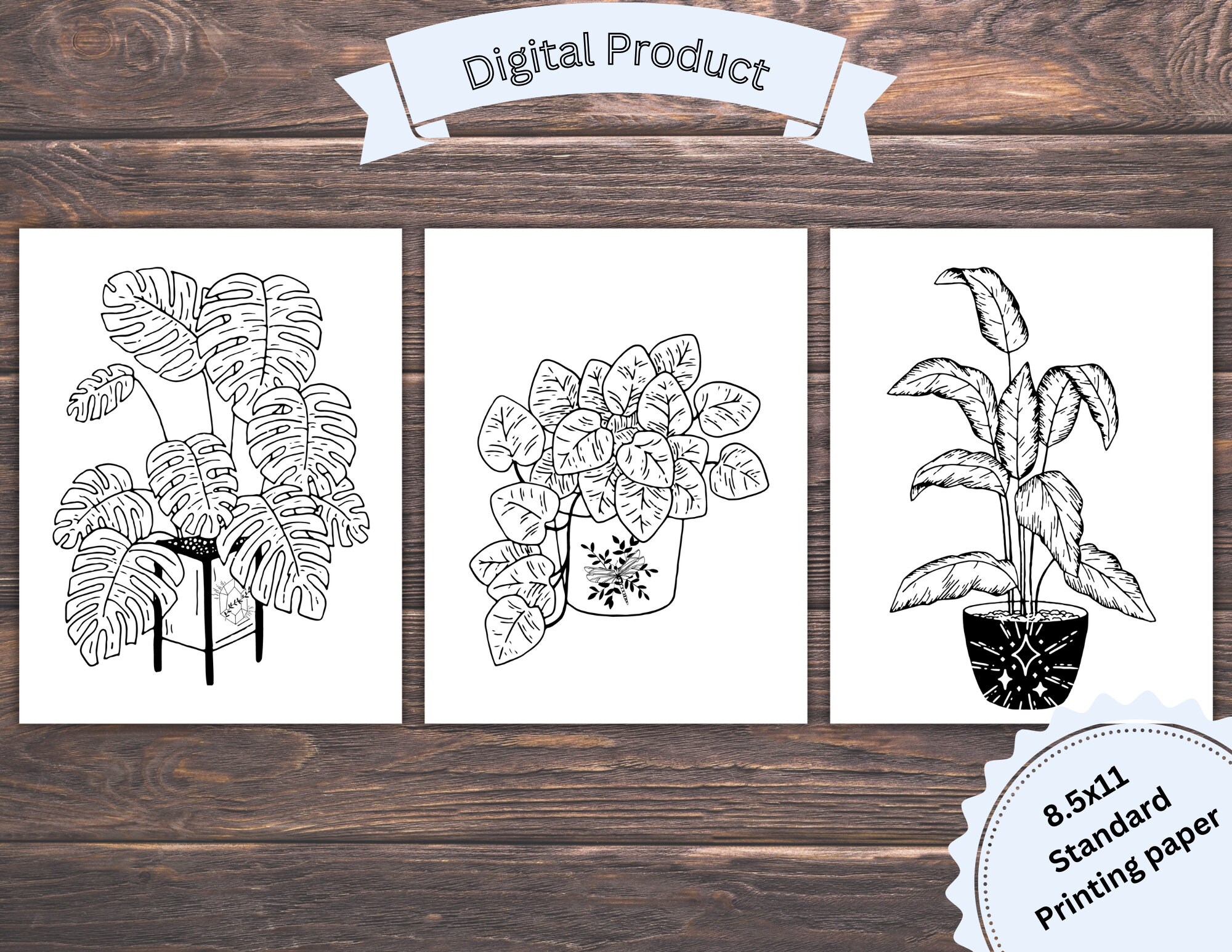 25 Printable Coloring Pages of House Plants, Potted Plants, Unique ...