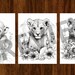 32 Cute Baby Animals Grayscale Coloring Pages | Printable Adult ...