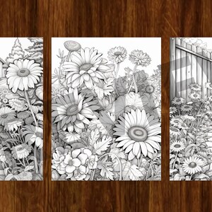 Garden Path Coloring Pages for Adults and for Kids, Grayscale Coloring ...