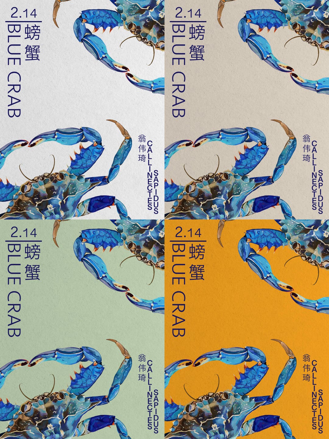 Blue Crab Poster Printables (vertical) - 4 Colors - Etsy