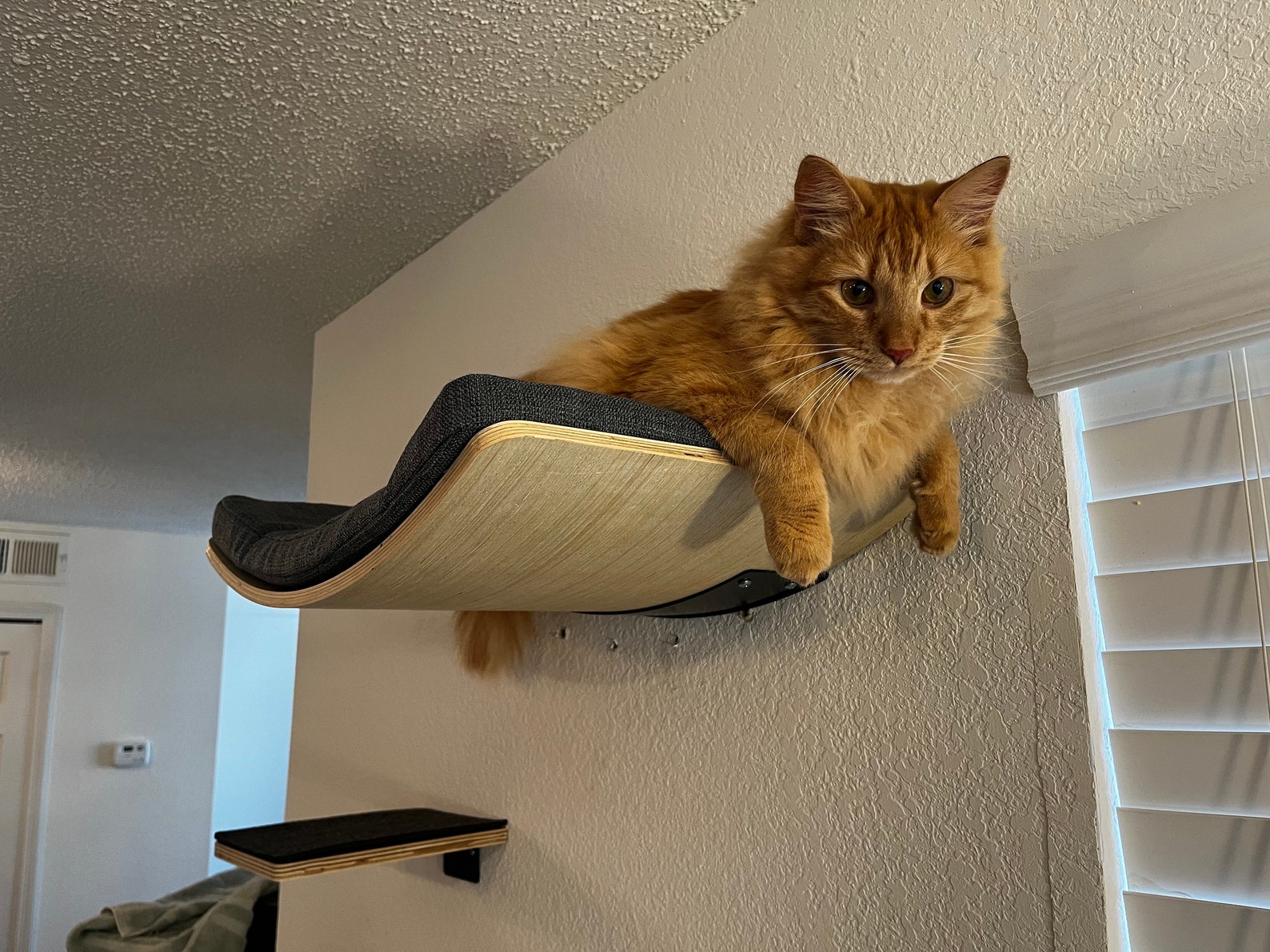 Large Cat Wall Shelves With Steps, Cat Wall Furniture, Cat Window Seat ...