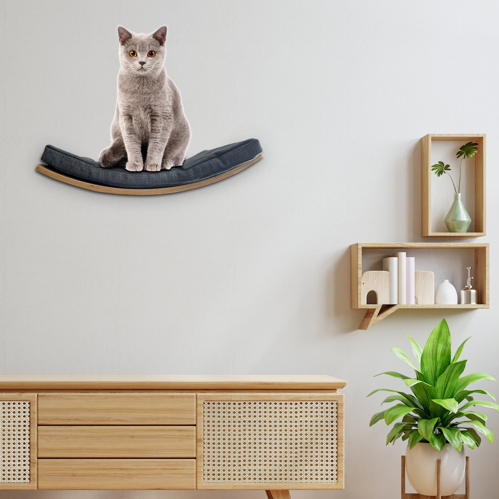 Large Cat Wall Shelves With Steps, Cat Wall Furniture, Cat Window Seat ...