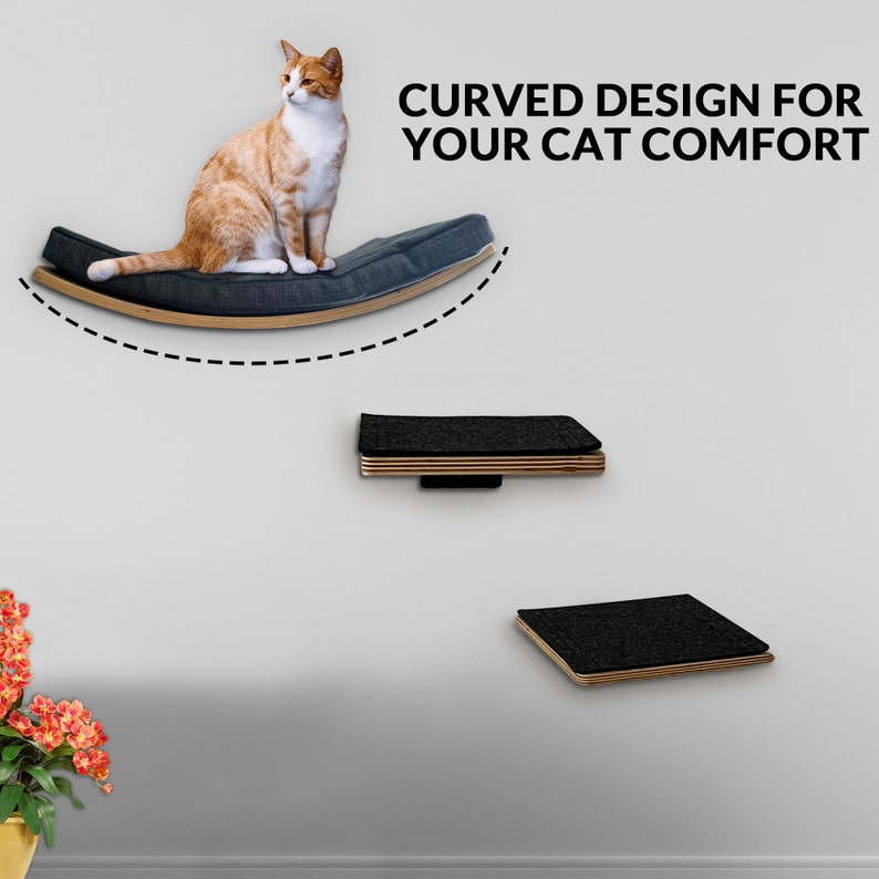 Large Cat Wall Shelves With Steps, Cat Wall Furniture, Cat Window Seat ...
