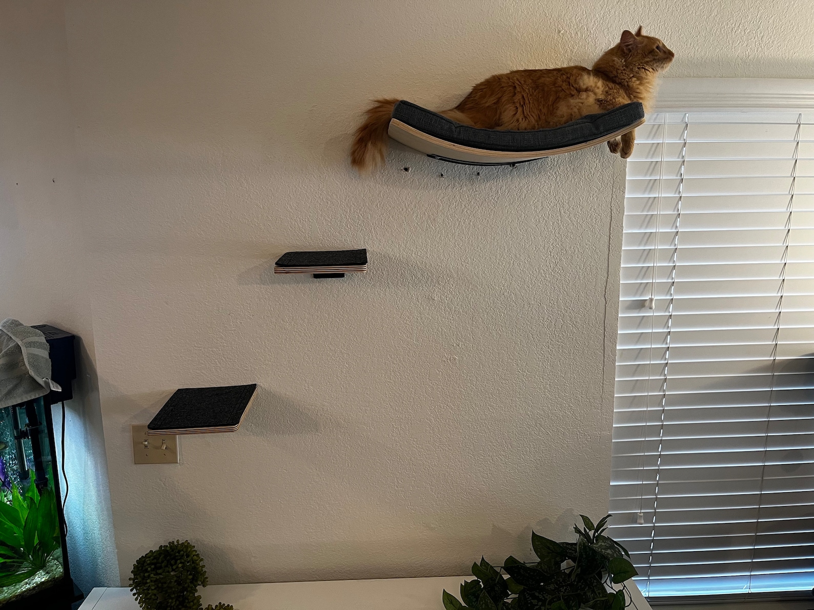 Large Cat Wall Shelves With Steps, Cat Wall Furniture, Cat Window Seat ...