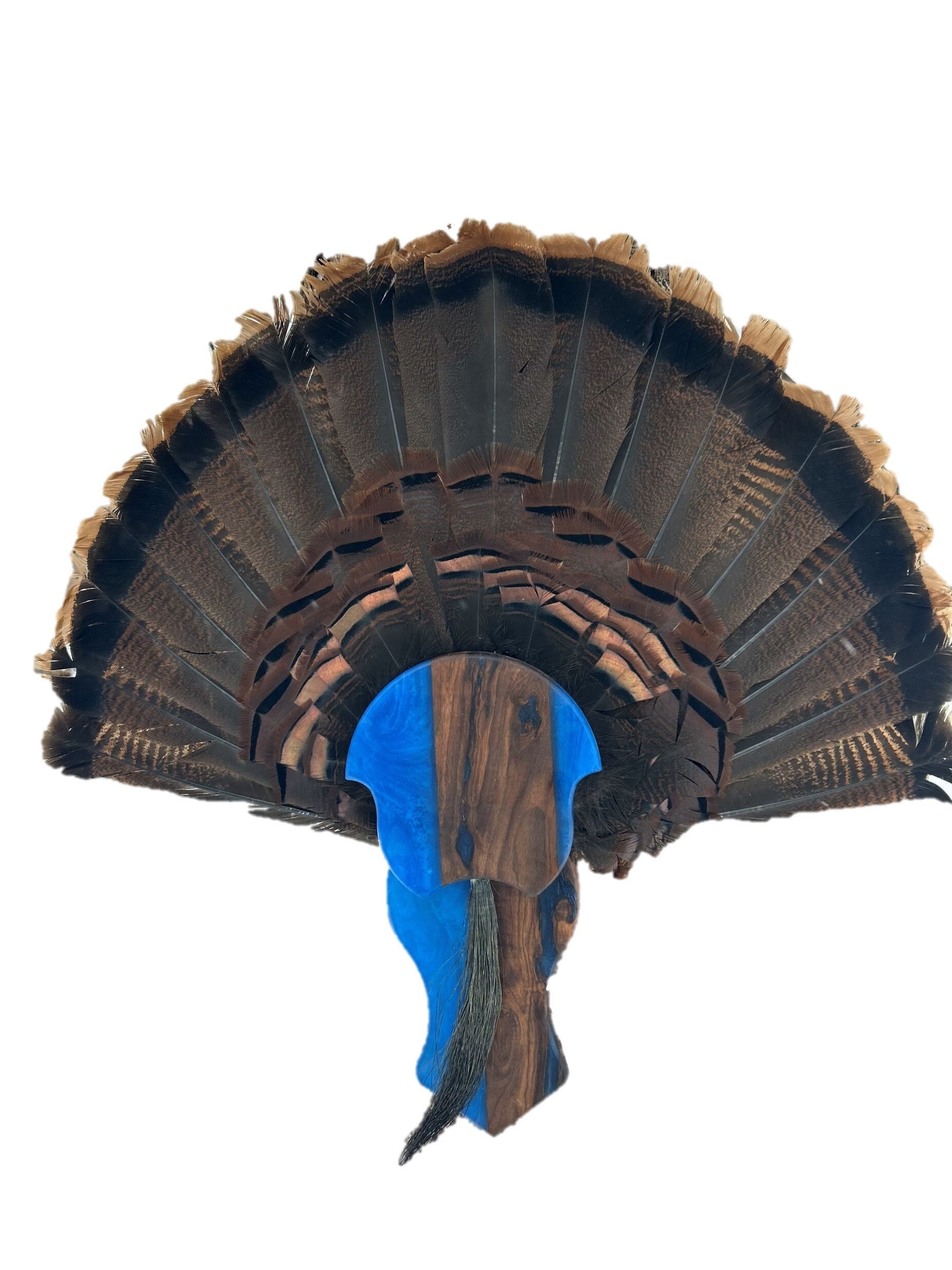 Turkey Tail Mount Plaque Epoxy & Wood - Etsy