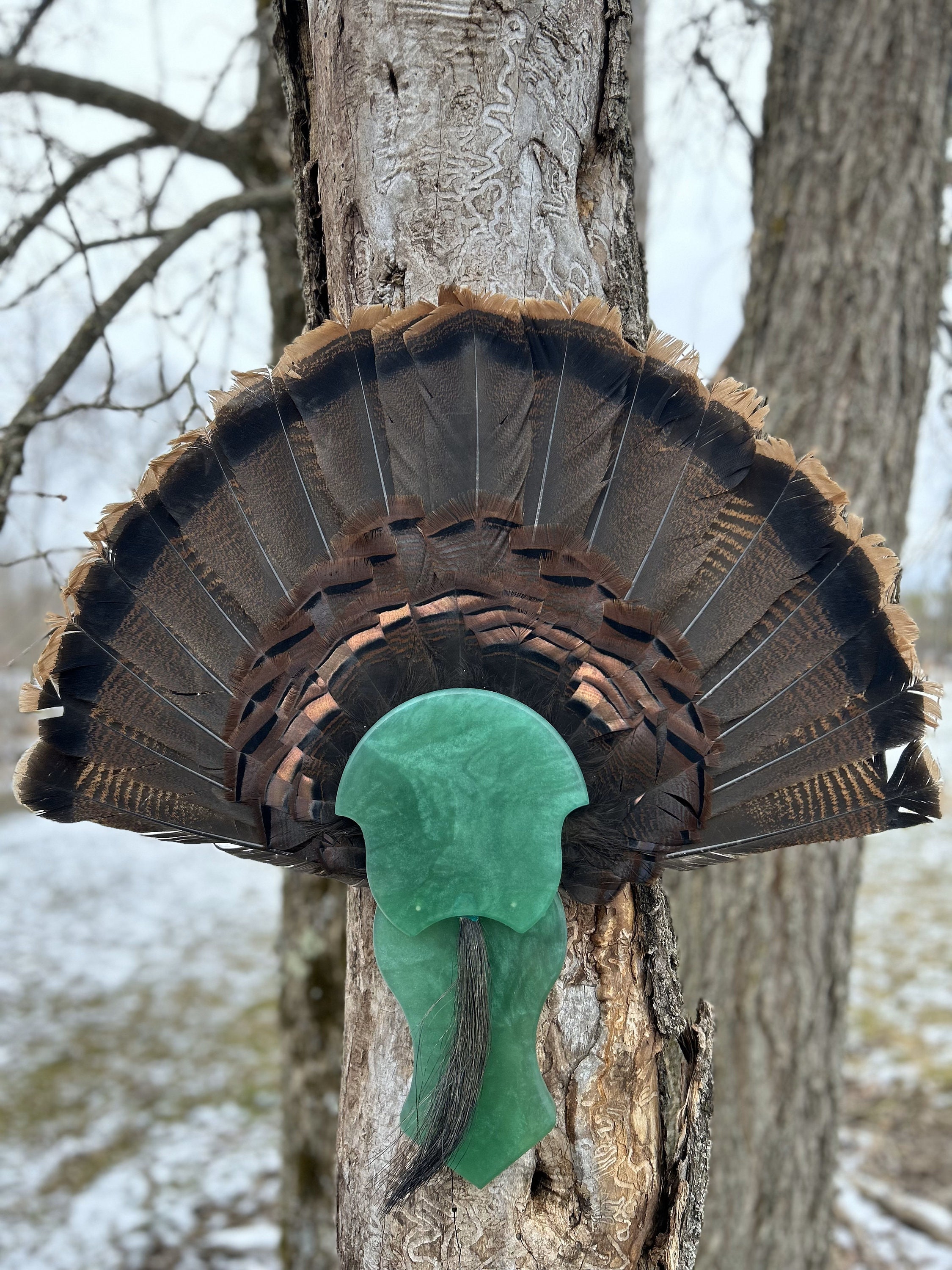 High Gloss Turkey Tail & Beard Mount Plaque All Epoxy Resin - Etsy