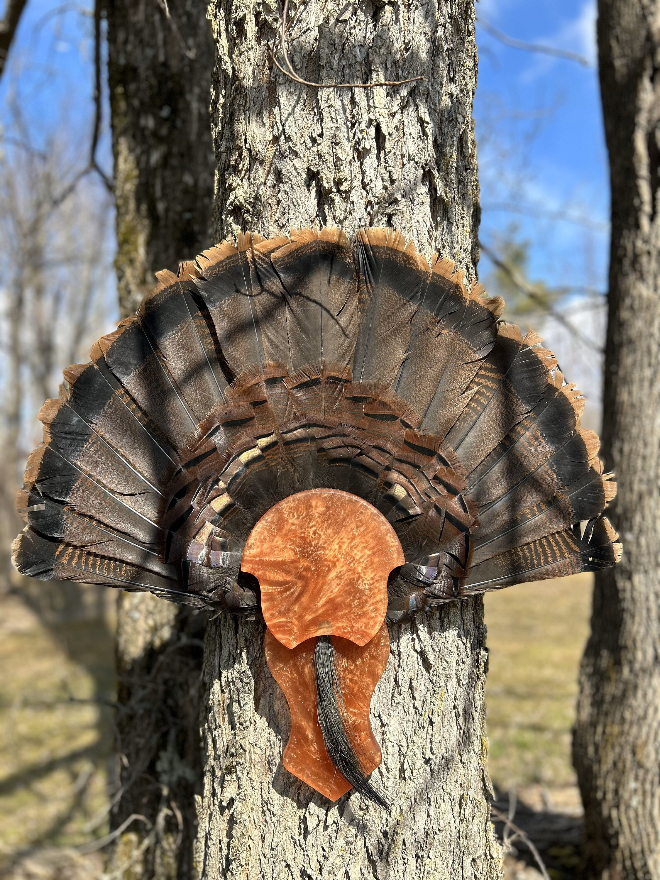 High Gloss Turkey Tail & Beard Mount Plaque All Epoxy Resin - Etsy