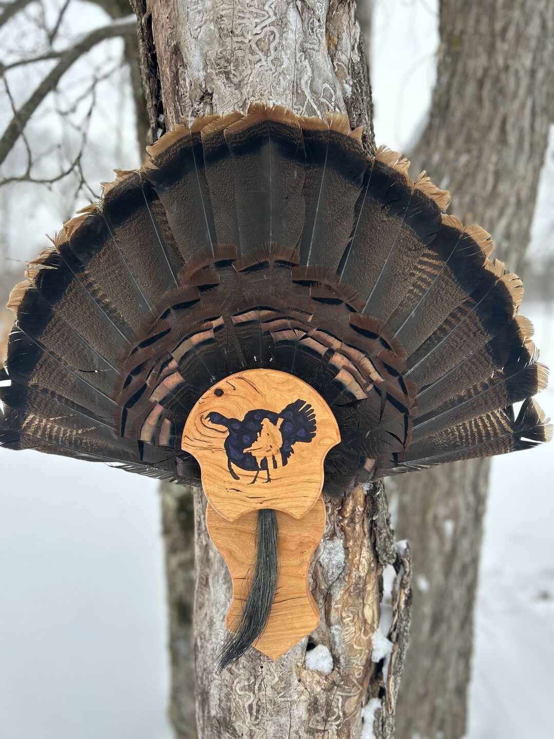 Custom Turkey Tail Plaque - Epoxy Inlay - Wood Base - Etsy