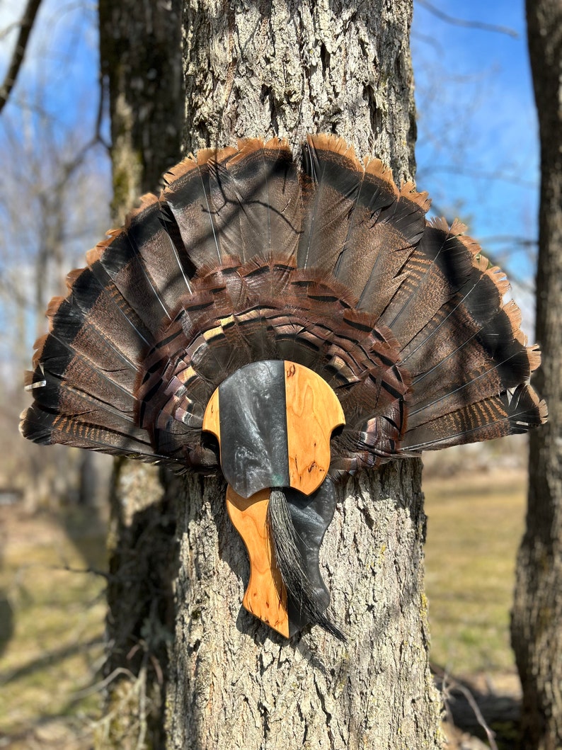 Turkey Tail Mount Plaque Epoxy & Wood - Etsy