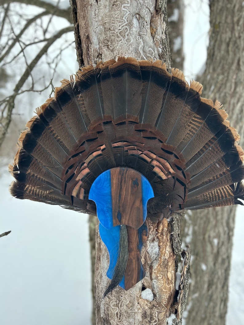 Turkey Tail Mount Plaque Epoxy & Wood - Etsy