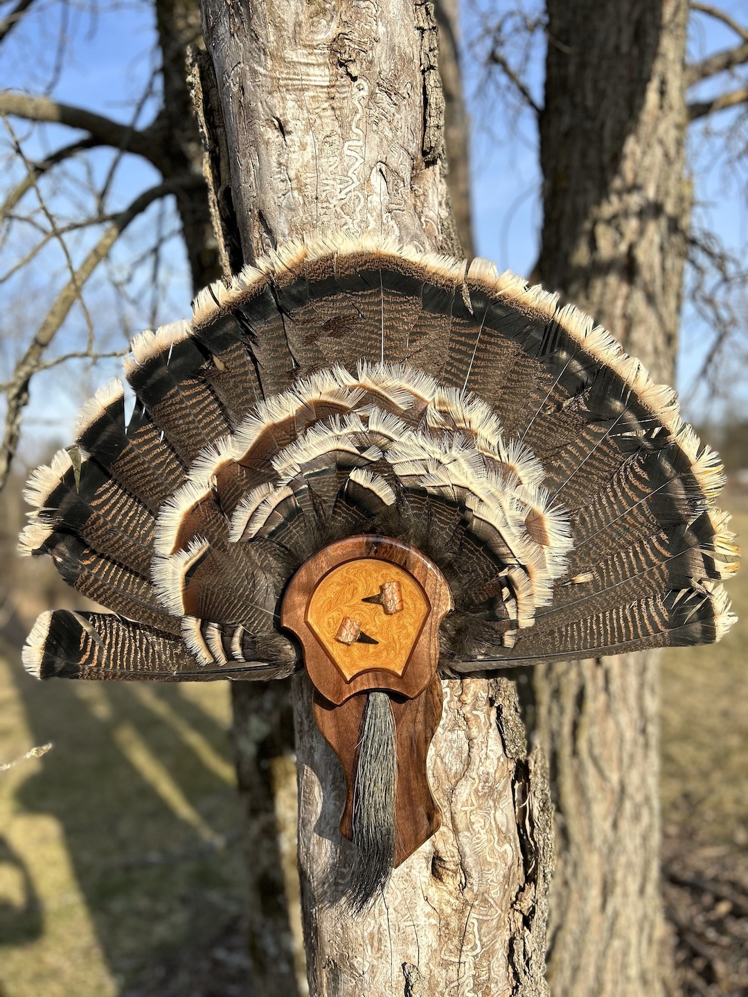Keepsake Turkey Tail/beard Mount Plaque Epoxy & Wood - High Gloss ...