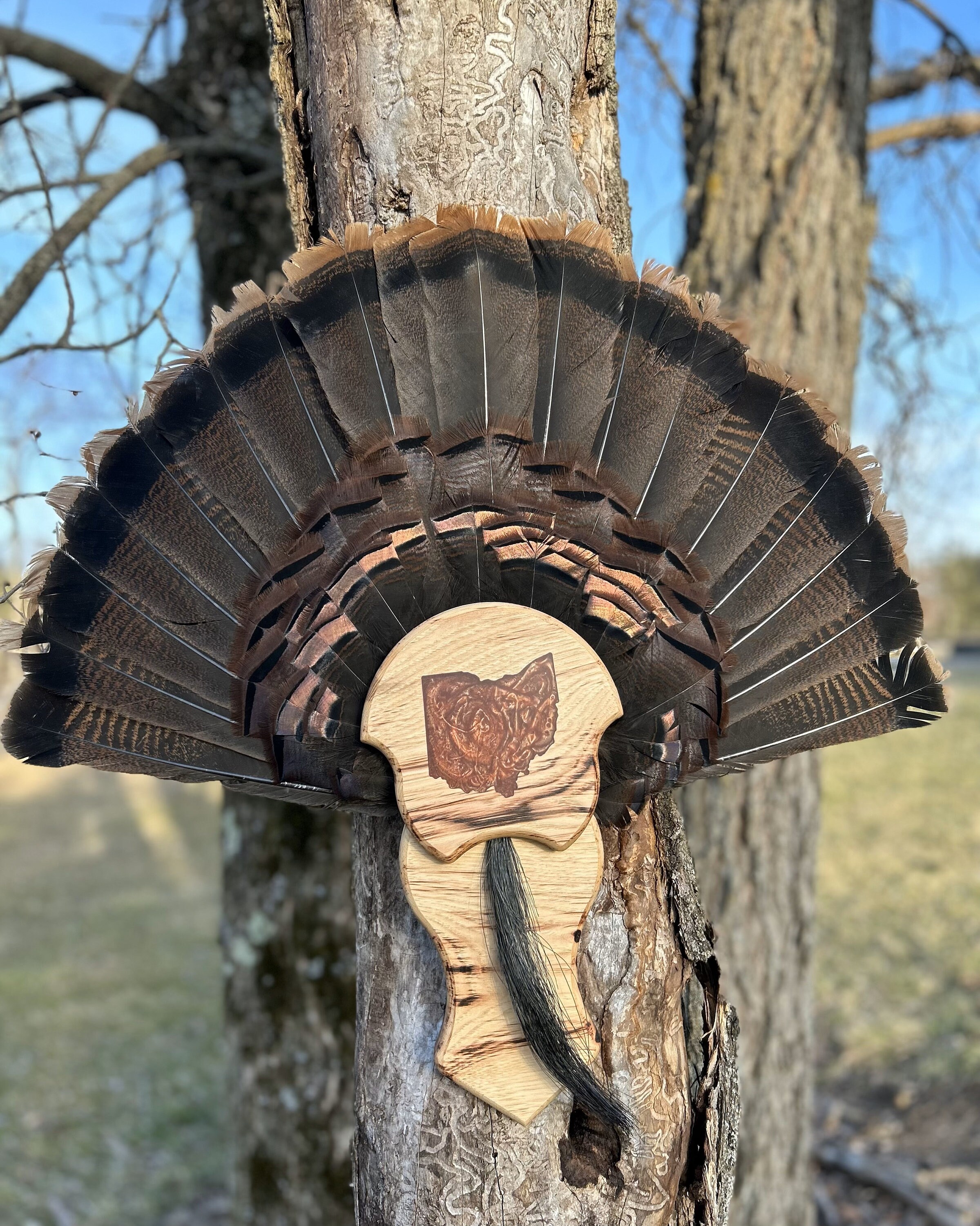 Turkey Tail Mount Plaque *state* Epoxy Inlay - Etsy