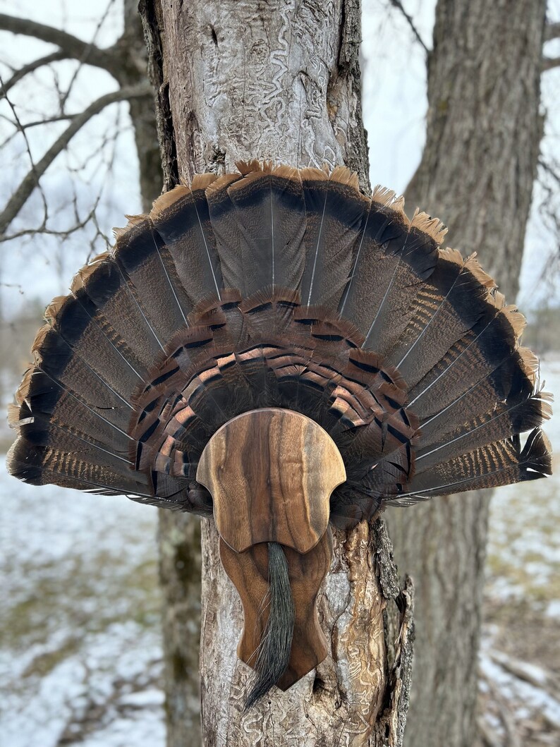 Turkey Fan Tail and Beard Plaque All Wood - Etsy