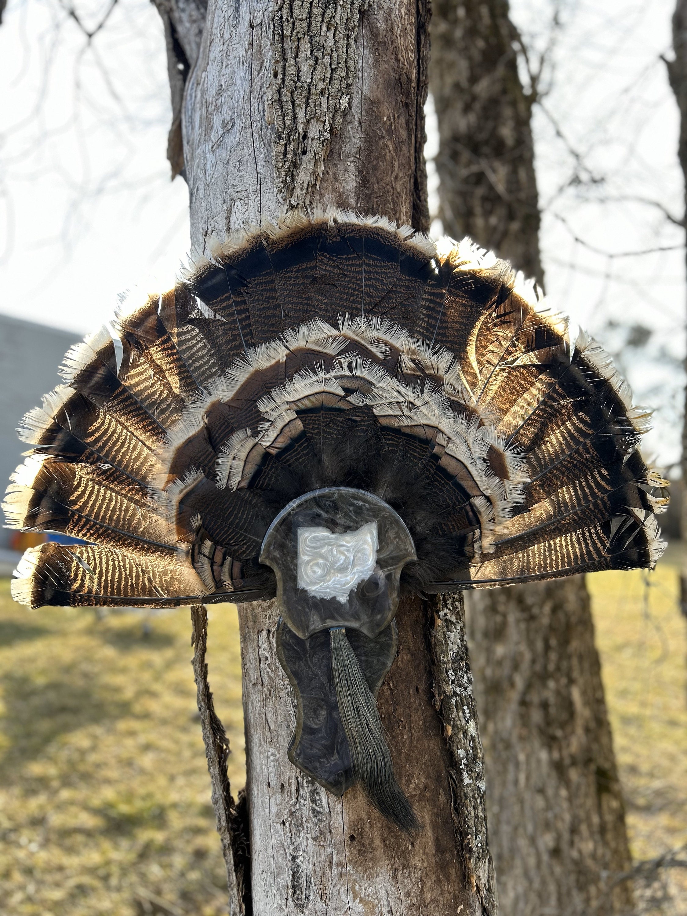 Dual Epoxy Turkey Tail Mount Plaque *state* Epoxy Inlay -high Gloss ...