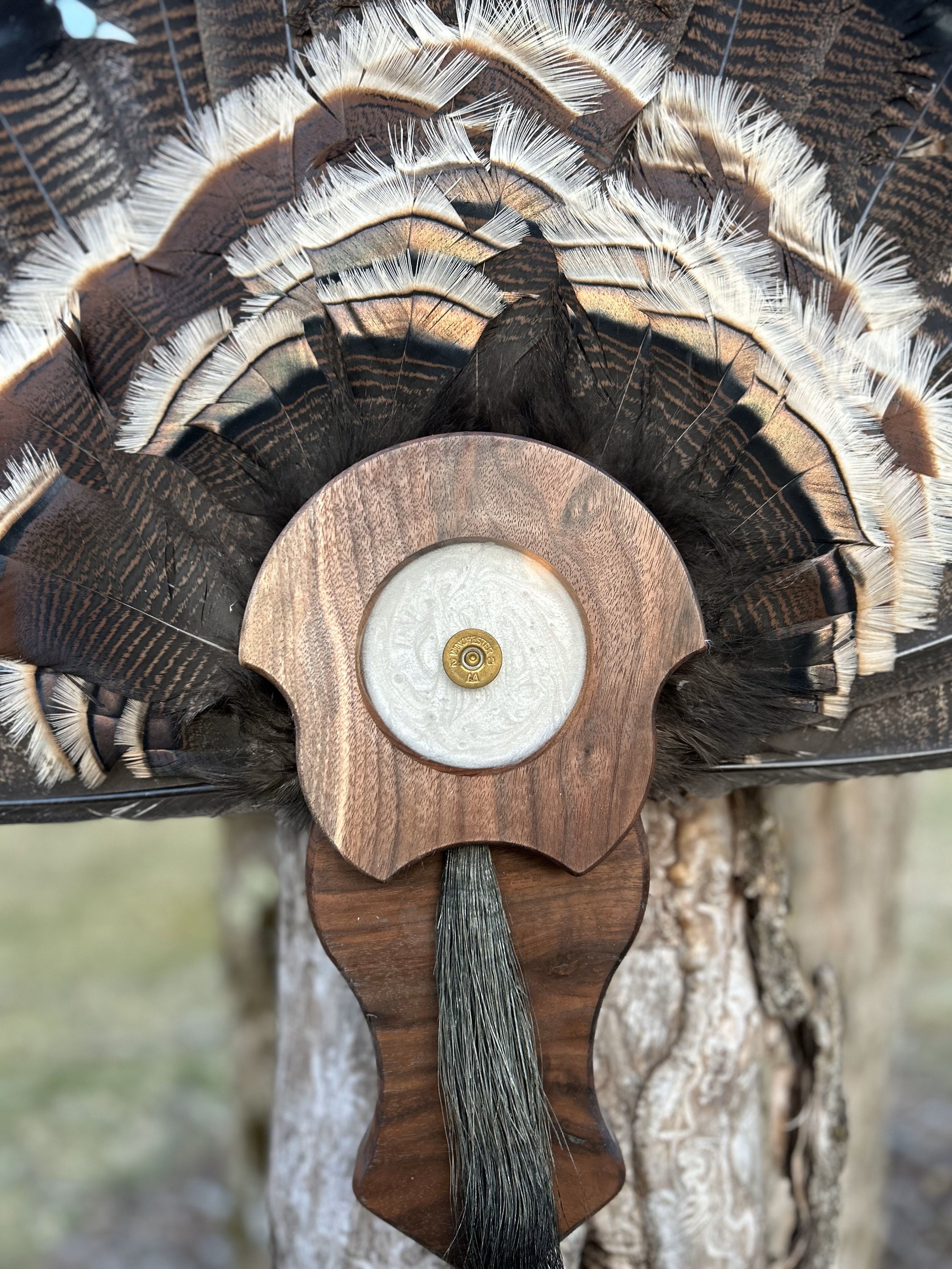 Keepsake Turkey Tail/beard Mount Plaque Epoxy & Wood - High Gloss ...