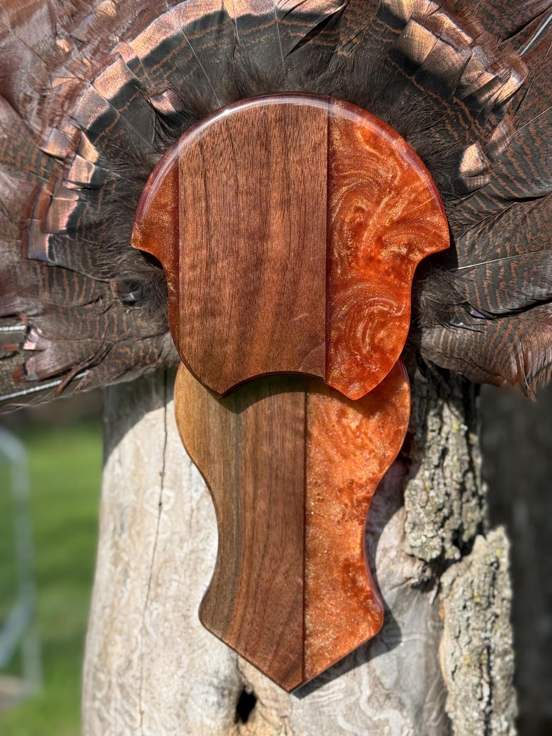 High Gloss - Turkey Tail/beard Mount Plaque Epoxy & Wood - Etsy