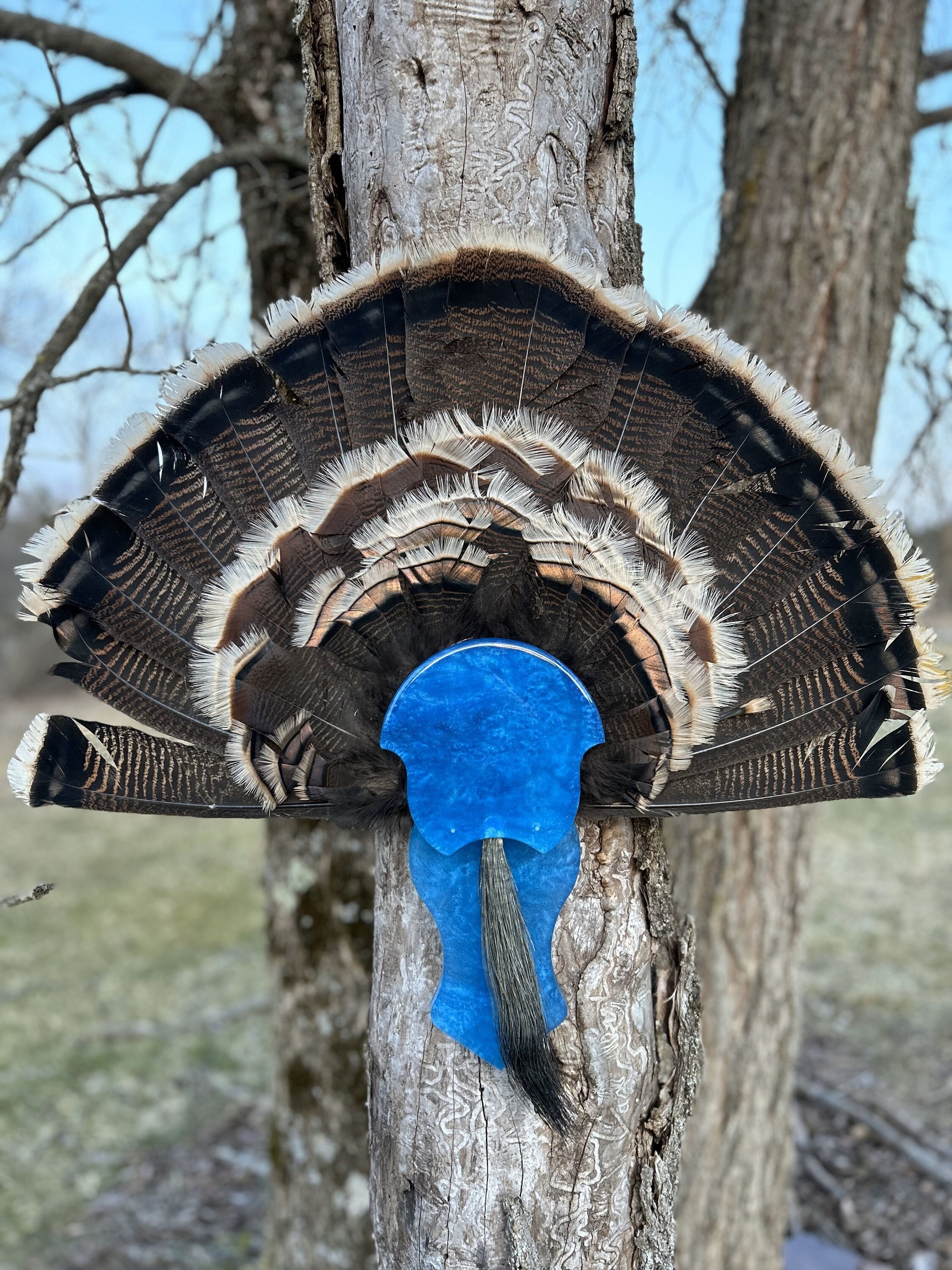High Gloss Turkey Tail & Beard Mount Plaque All Epoxy Resin - Etsy