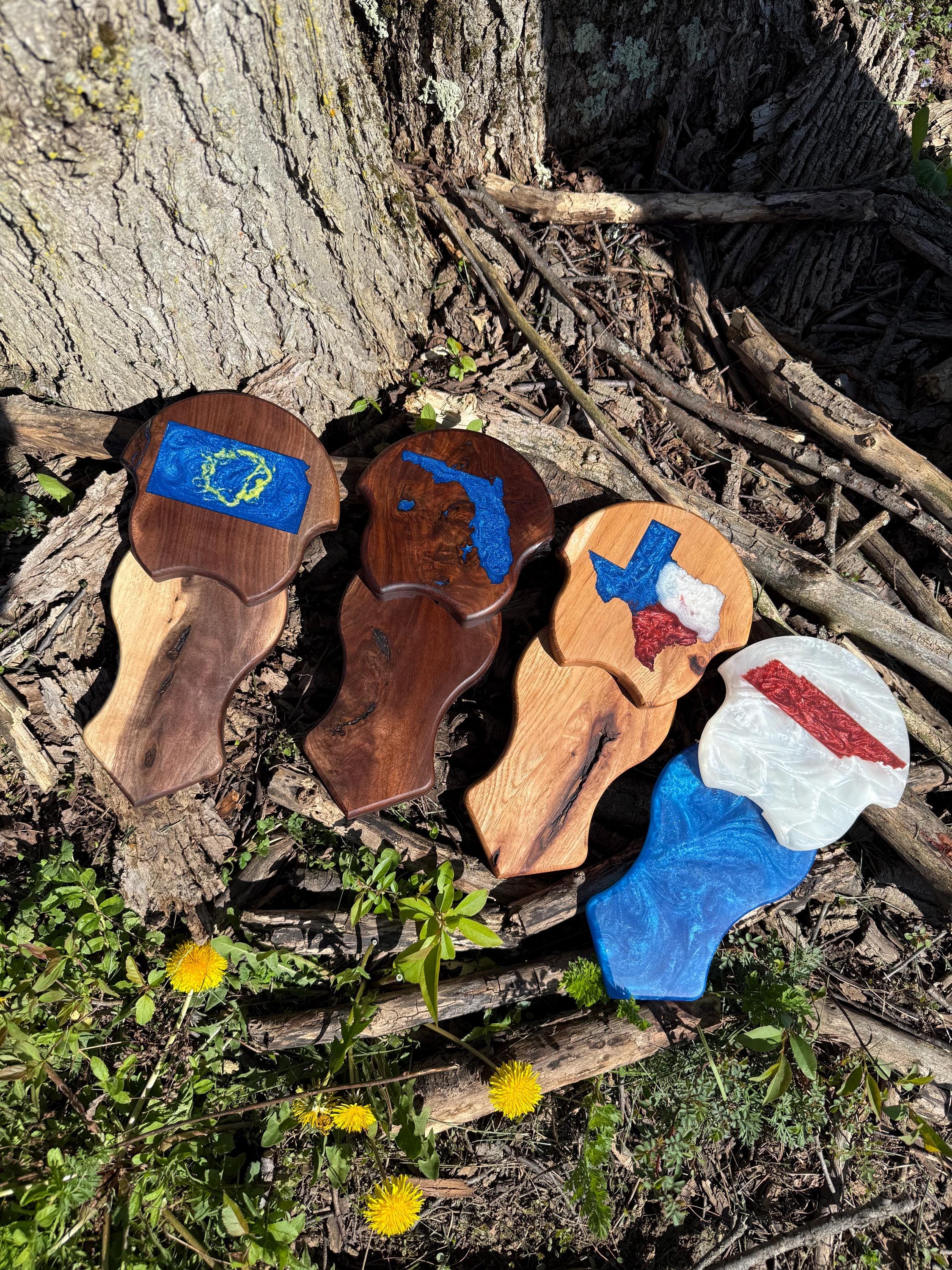 Turkey Tail Mount Plaque *state* Epoxy Inlay - Etsy