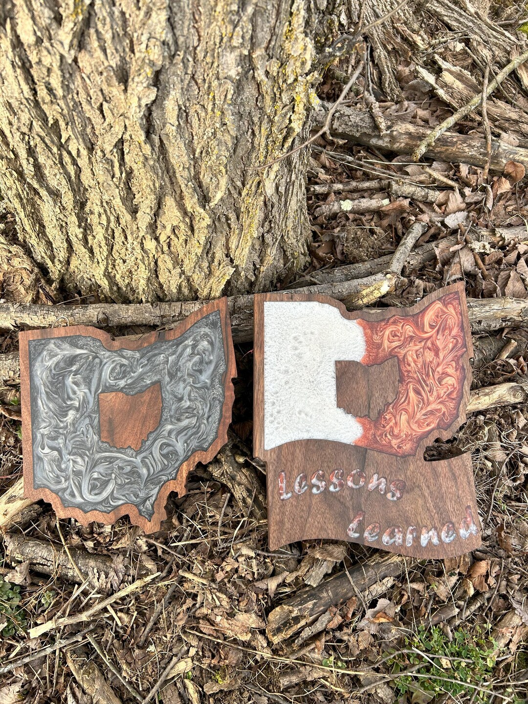 Any State European Skull Mount - Personalized - Premium Wood - Etsy