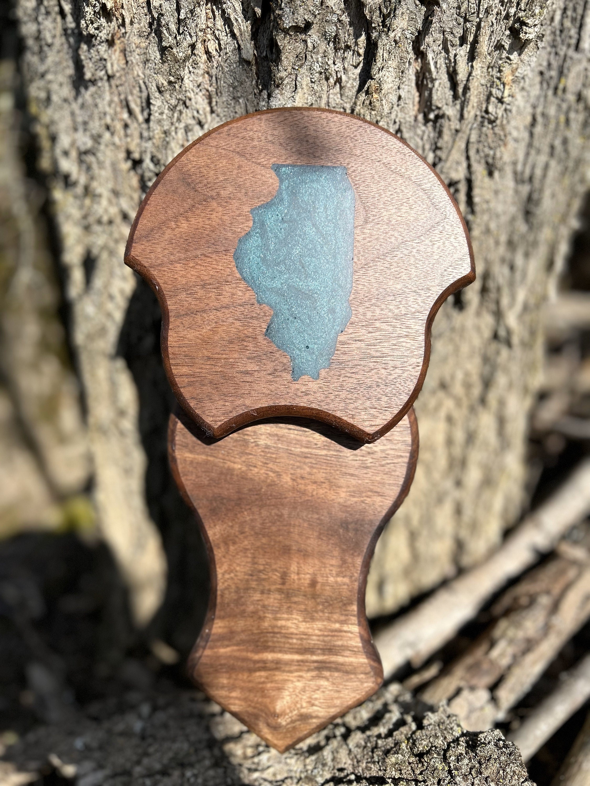 Turkey Tail Mount Plaque state Epoxy Inlay - Etsy