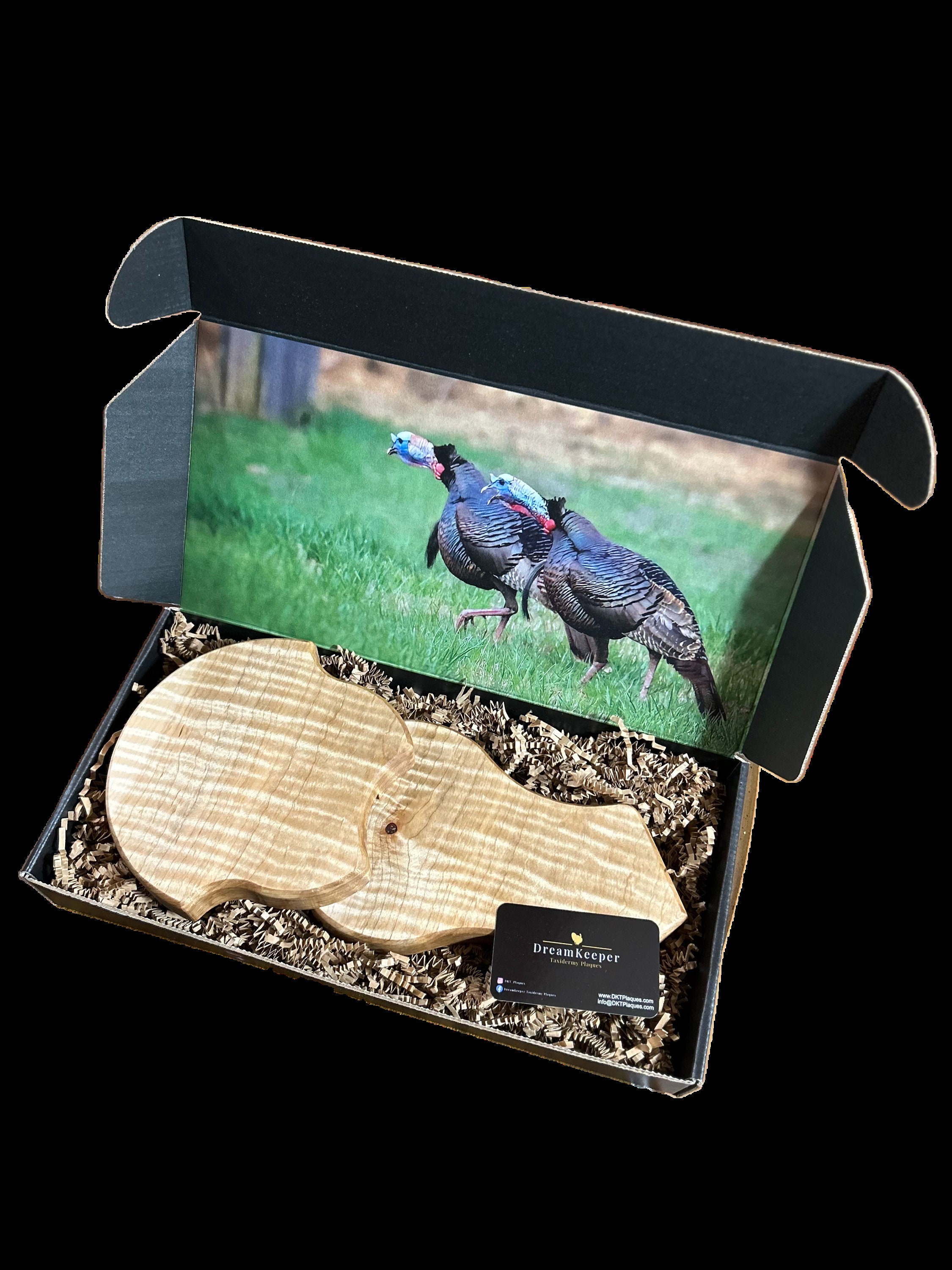 Dual Epoxy Turkey Tail Mount Plaque *state* Epoxy Inlay -high Gloss ...