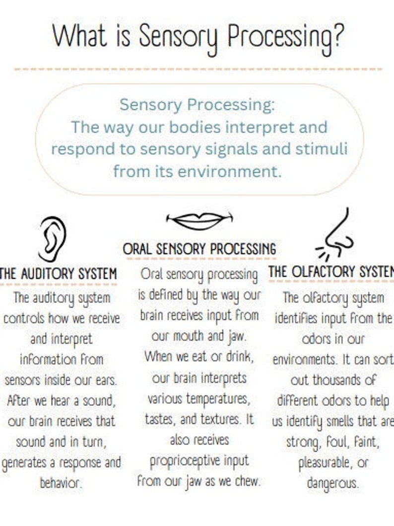 Digital Download 20 Pages of Caregiver Handouts sensory Processing ...