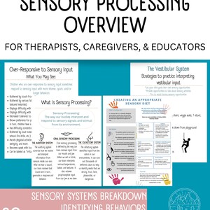 Digital Download- 20 Pages of Caregiver Handouts (sensory Processing ...