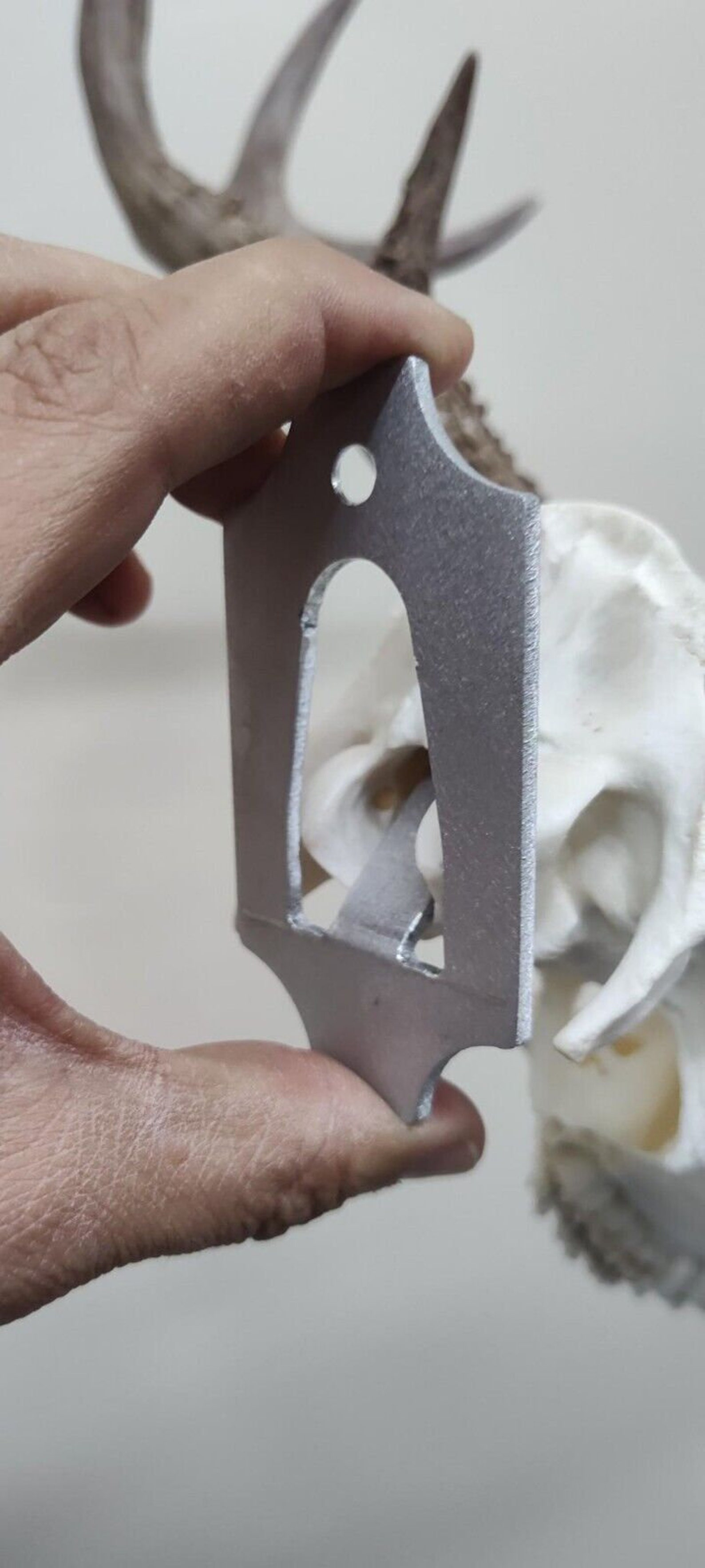 European Skull Mount Hanger Skull Hook - Etsy