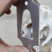 European Skull Mount Hanger Skull Hook - Etsy