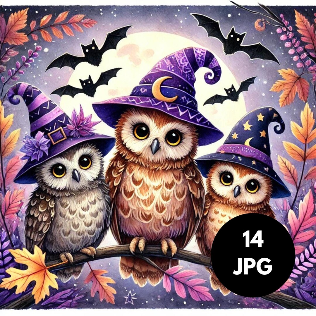 Owl Witch, Halloween Owl Clipart, Owl Clipart Digital Paper Commercial ...