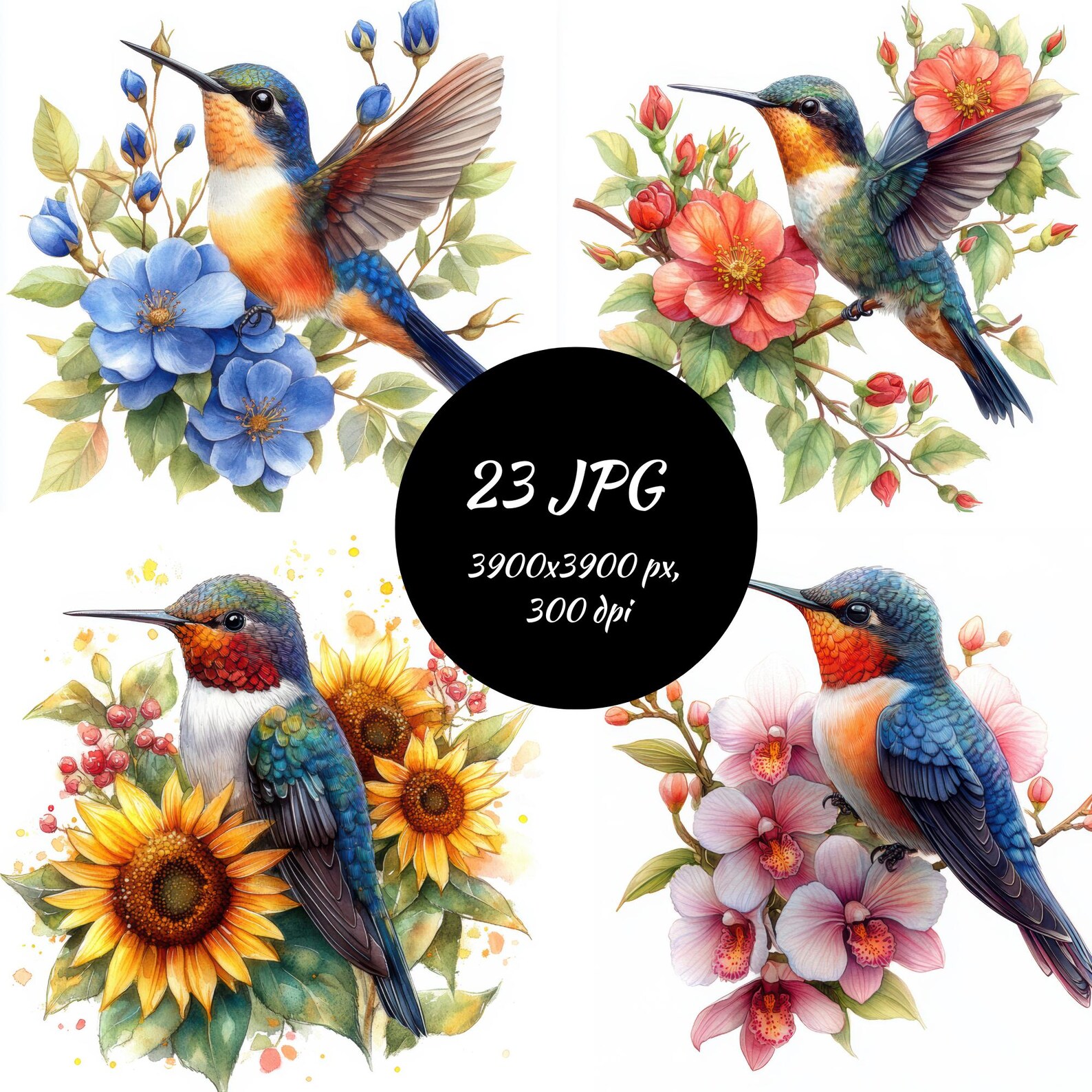 Hummingbird Clipart, Hummingbird Digital Illustration Paper Card Making ...