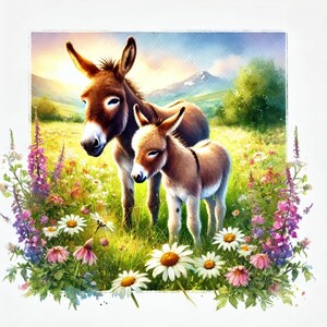 Donkey Clipart, Watercolor Donkey Clipart Digital Paper Commercial Use ...