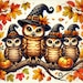 Owl Witch, Halloween Owl Clipart, Owl Clipart Digital Paper Commercial ...
