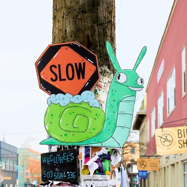 Slow Down Signs - Etsy