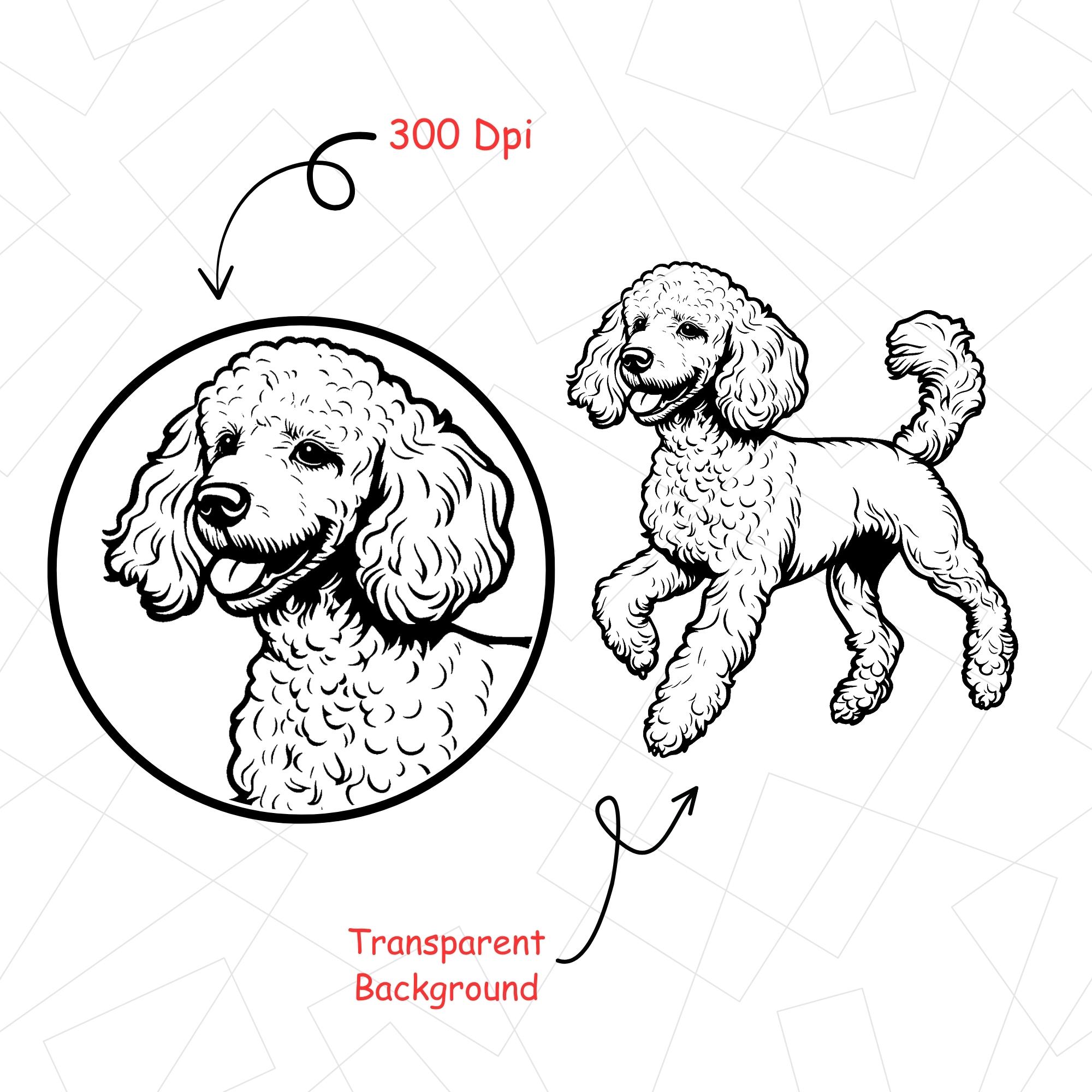 Laser Cut Files | Standard Poodle Dog Graphic Bundle | Laser Engraving ...