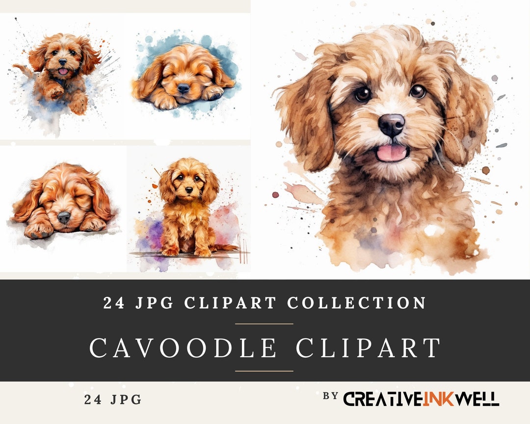 24 JPG Cute Cavoodle Clipart Collection | High-resolution | Vibrant ...
