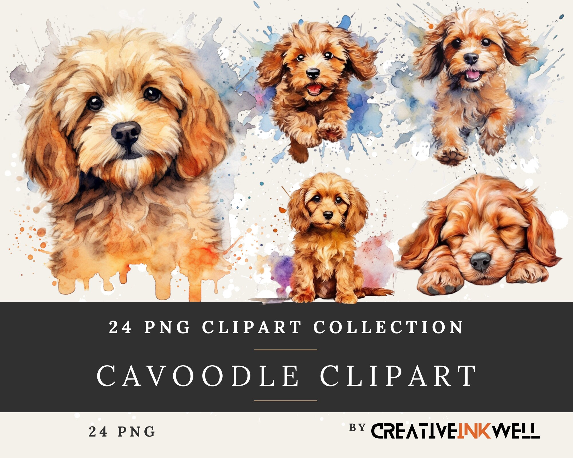 24 PNG Cute Cavoodle Clip Art Collection | High-resolution | Vibrant ...